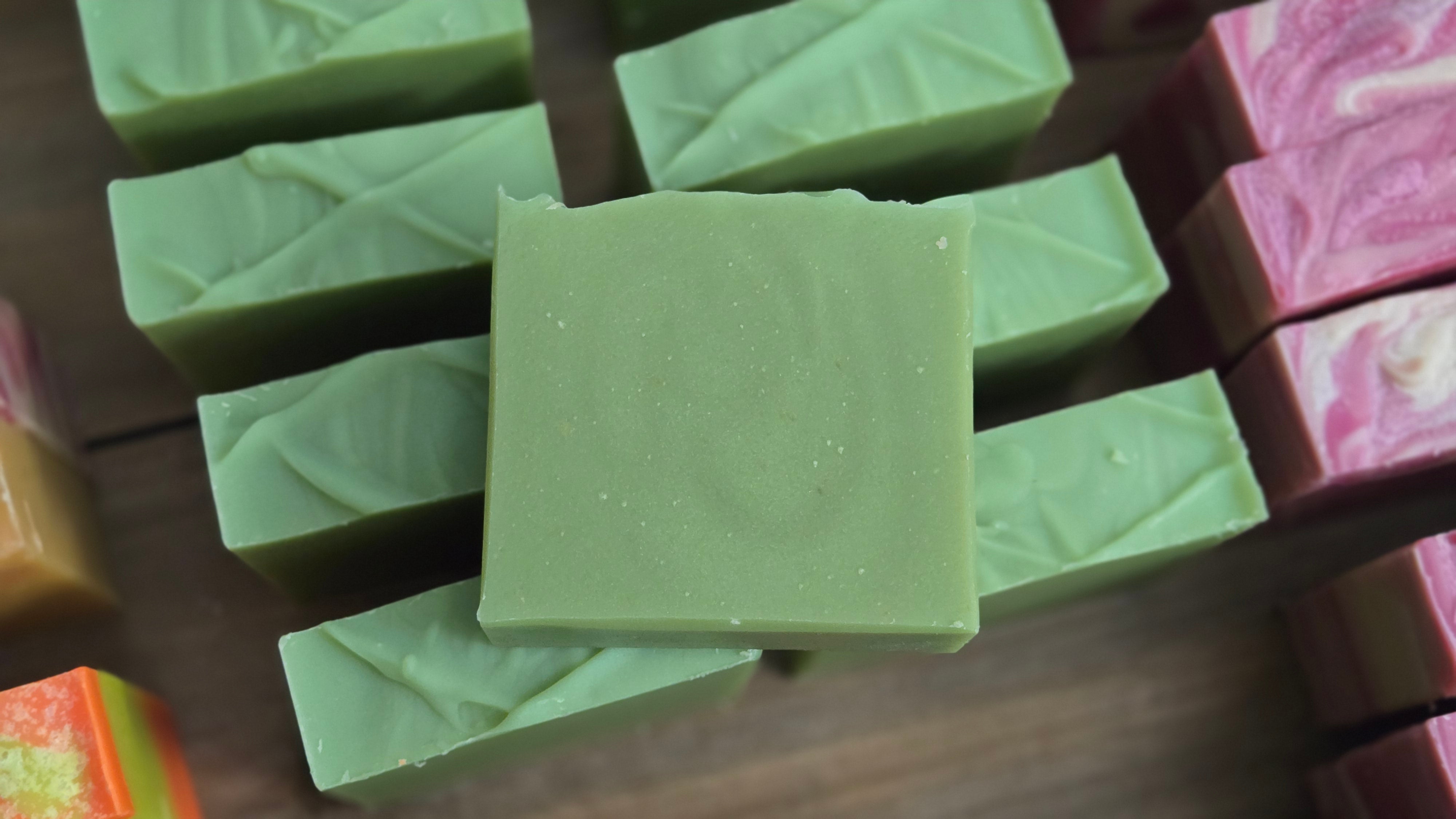 Fresh Bamboo | Agave Acres Farm