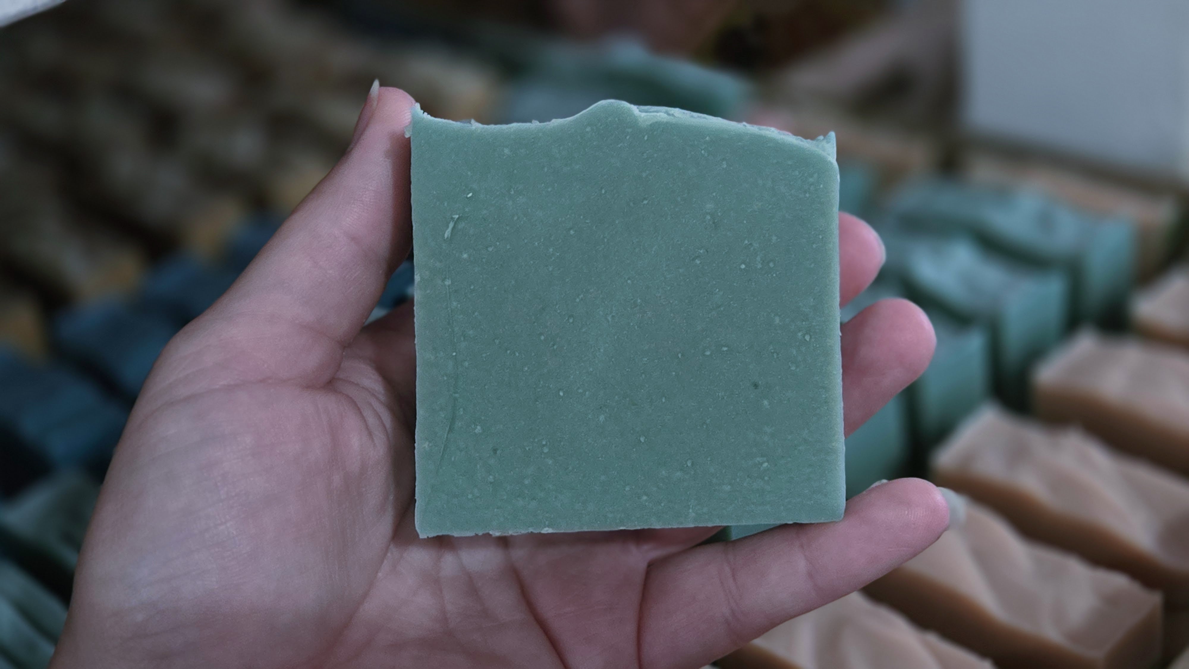 Blue Agave | Agave Acres Farm