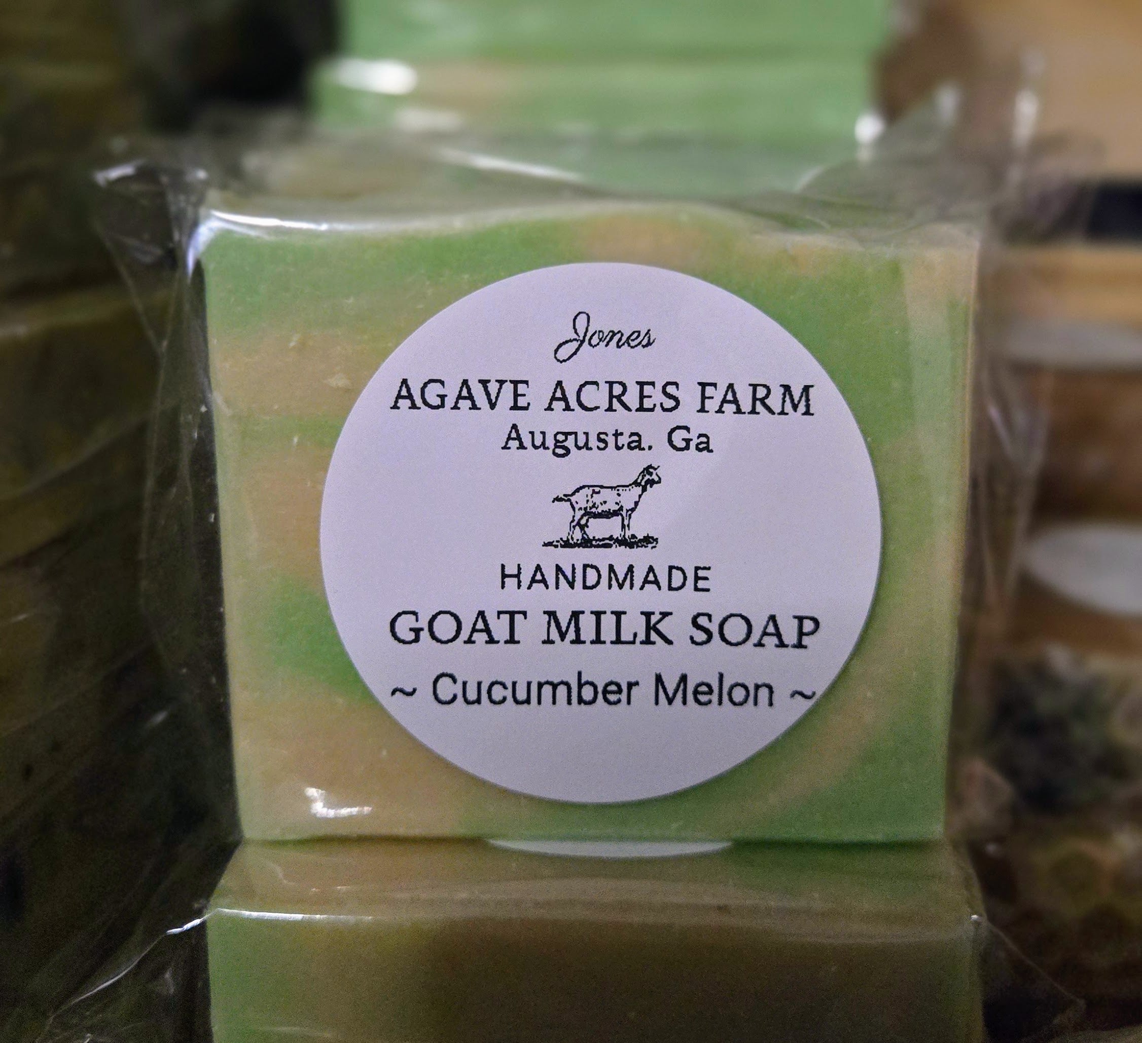 Cucumber Melon | Agave Acres Farm