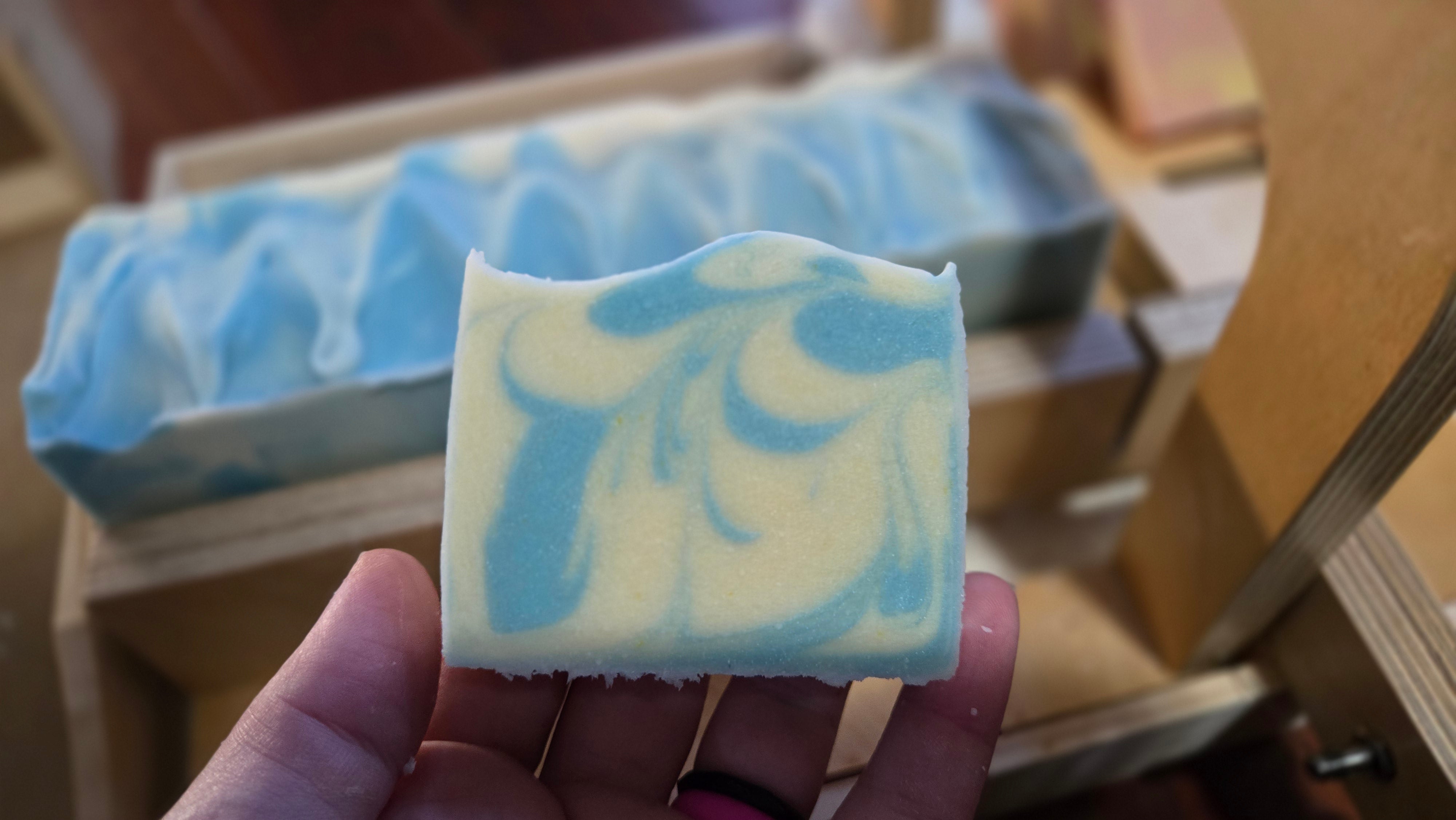 Blue Ray | Agave Acres Farm