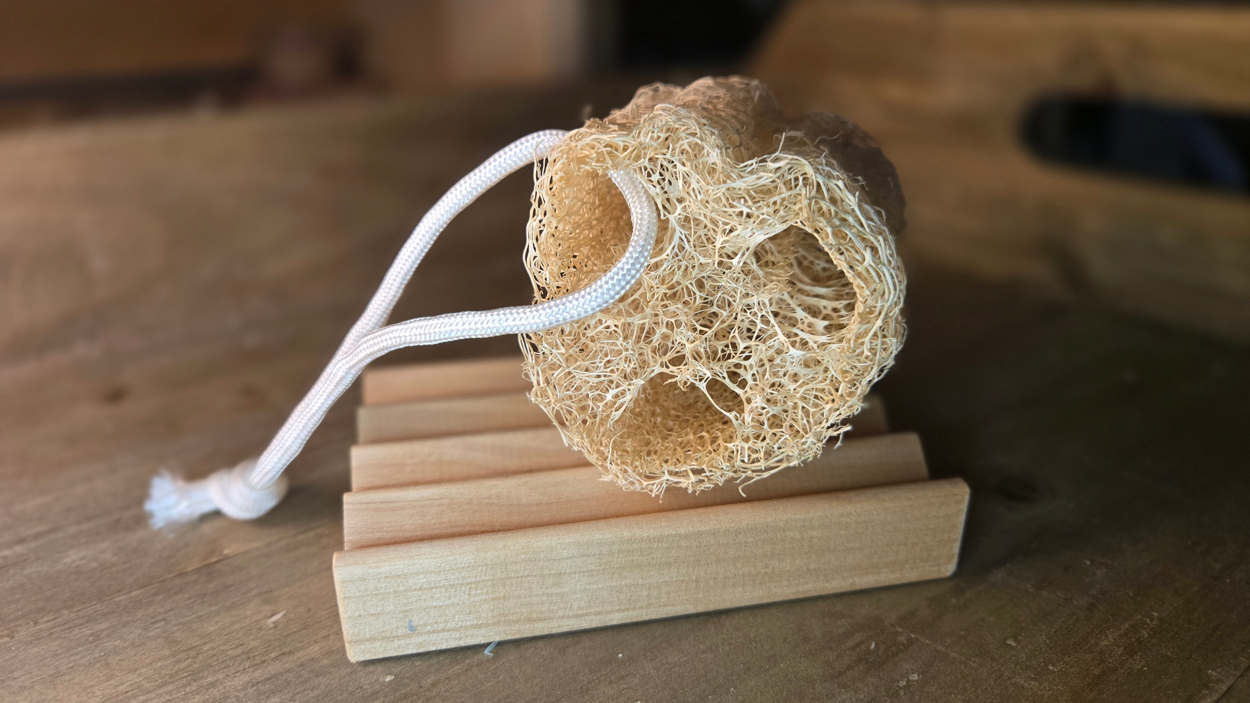 Luffa Sponge | Agave Acres Farm